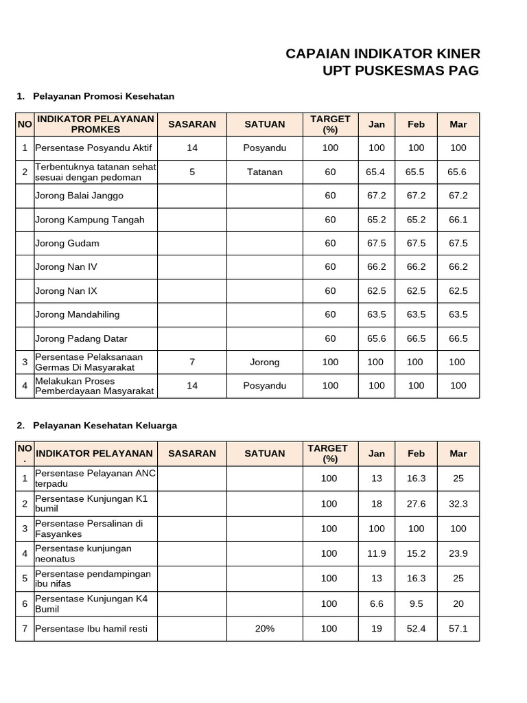 Capaian Kinerja Bulanan | PDF