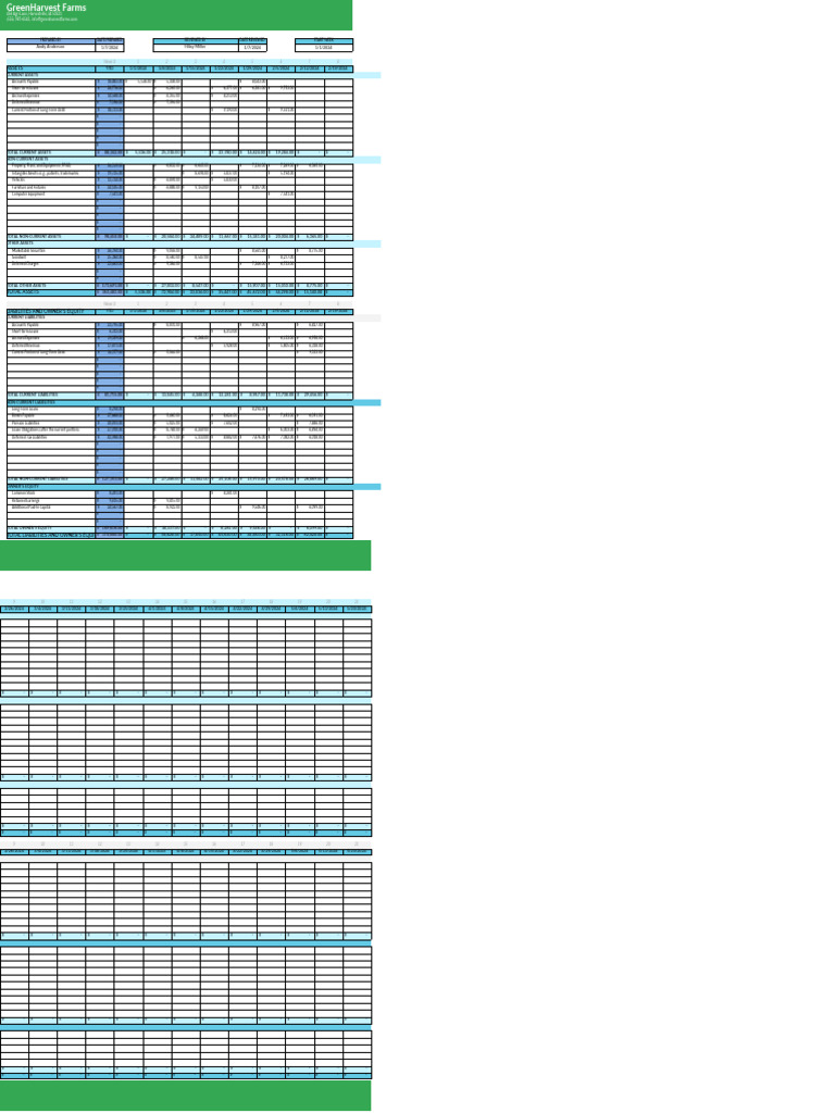 Weekly Balance Sheet Template | PDF