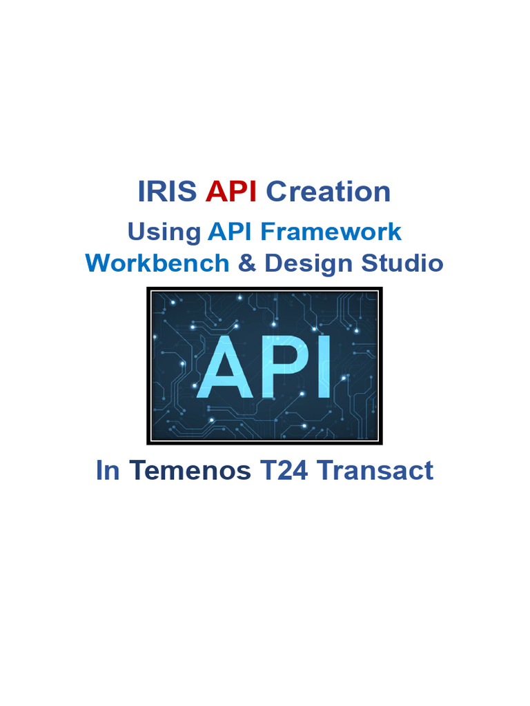 IRIS Provider API Creation in Temenos T24 1732506597 | PDF | Software | Computing