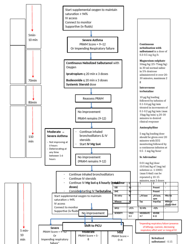 Asthma Algorithm CAR Project (1) | PDF | Intravenous Therapy | Asthma