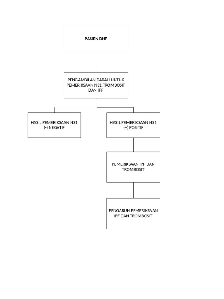 Kerangka Konsep DHF | PDF
