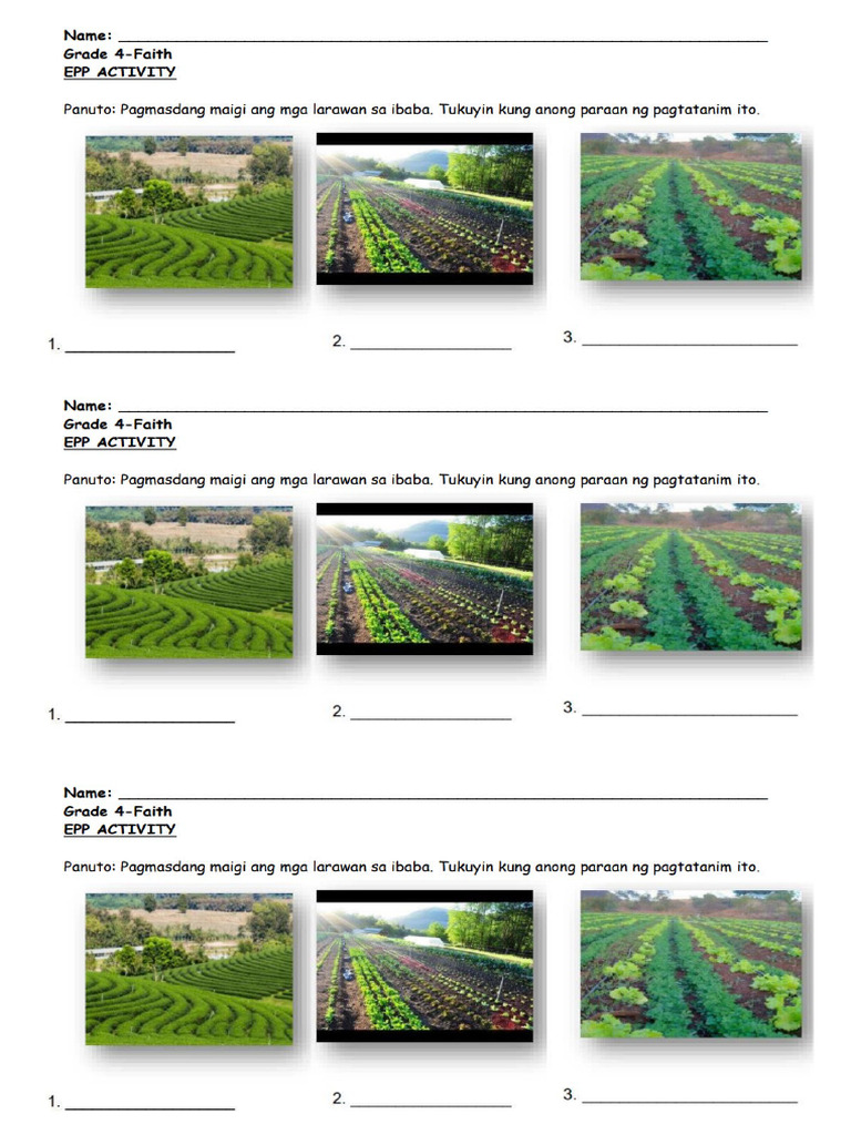 EPP AND GMRC ACTIVITY | PDF