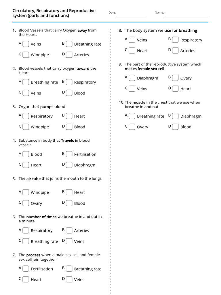 Circulatory Respiratory and Reproductive System Parts and Functions ...