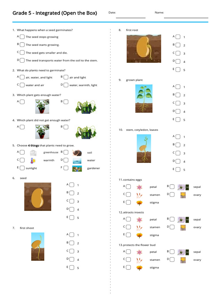 Grade 5 Integrated Open The Box Quiz | PDF | Flowers | Pollination