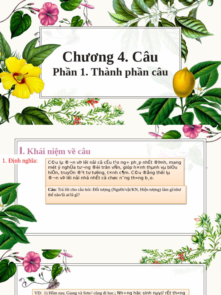 4 NPTV ND4 Cau Phan1 Thanhphancau STD | PDF