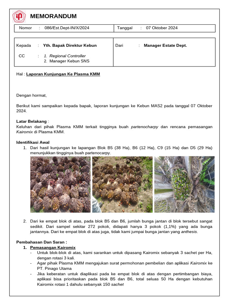 LAPORAN VISIT KMM - VERIFIKASI BUAH PARTENOCARPHY | PDF