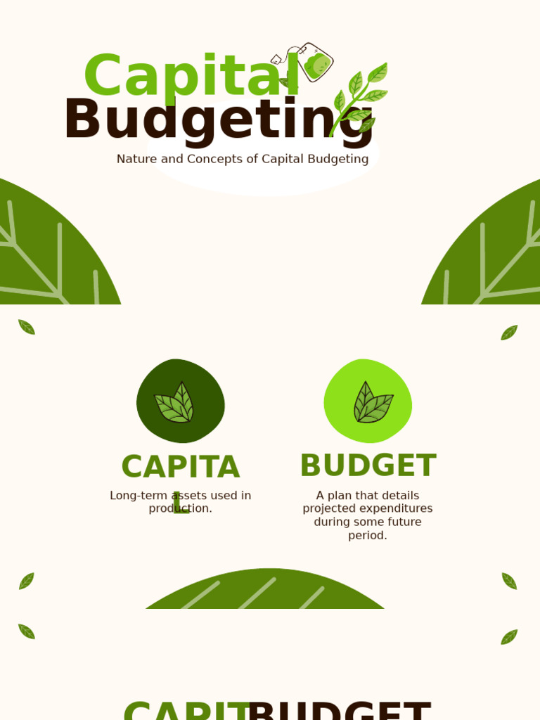 Capital Budgeting - class | PDF | Capital Budgeting | Net Present Value