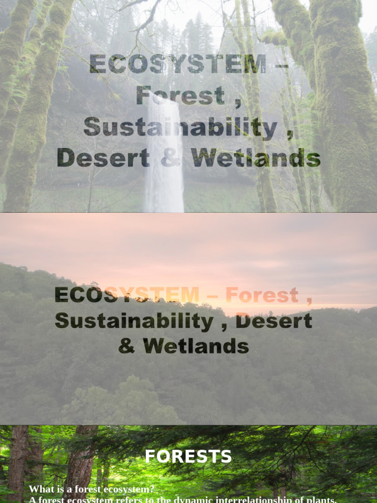 Forest Ecosystem Overview | PDF