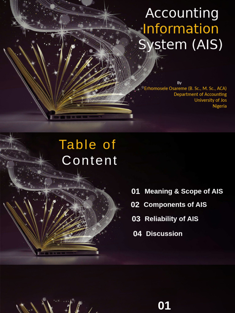 Overview of Accounting Information Systems | PDF | Information ...
