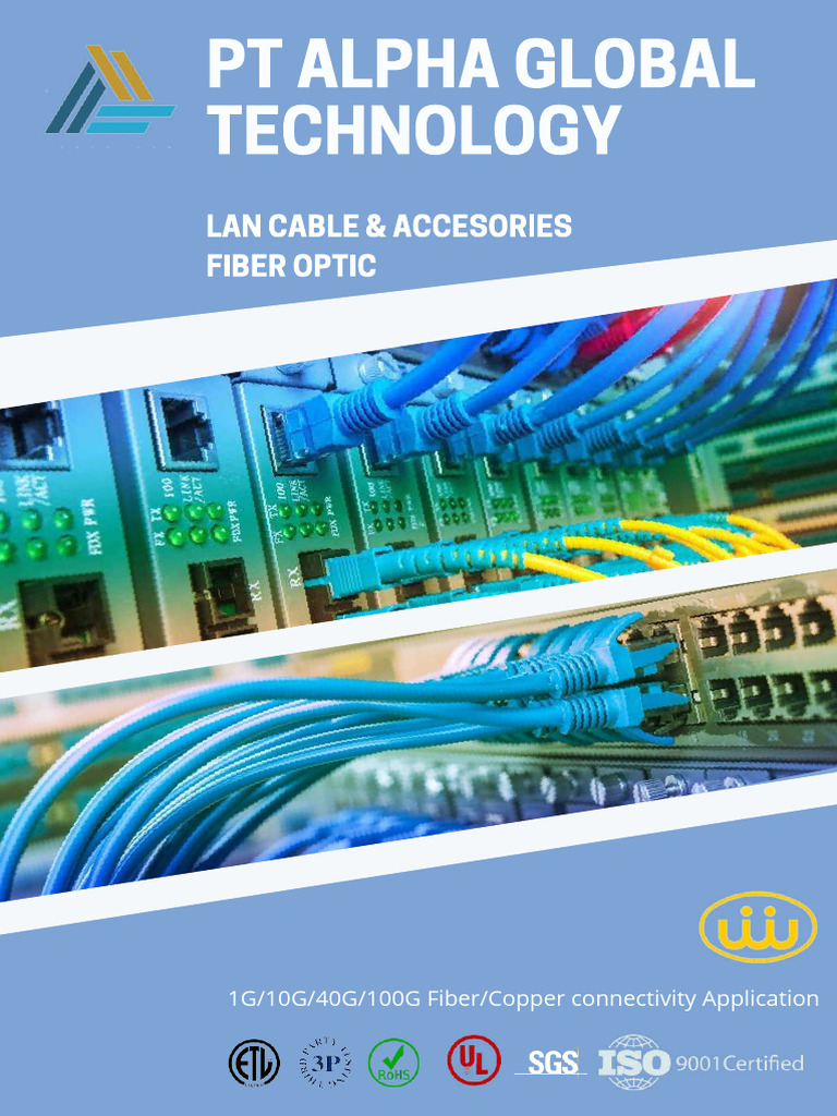 Connectivity Solutions for Enterprises | PDF | Wi Fi | Computer Networking