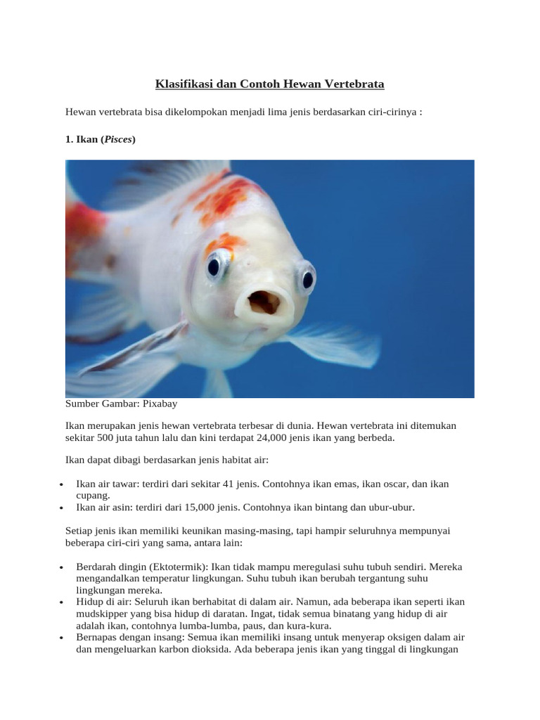 Klasifikasi Hewan Vertebrata dan Contohnya | PDF