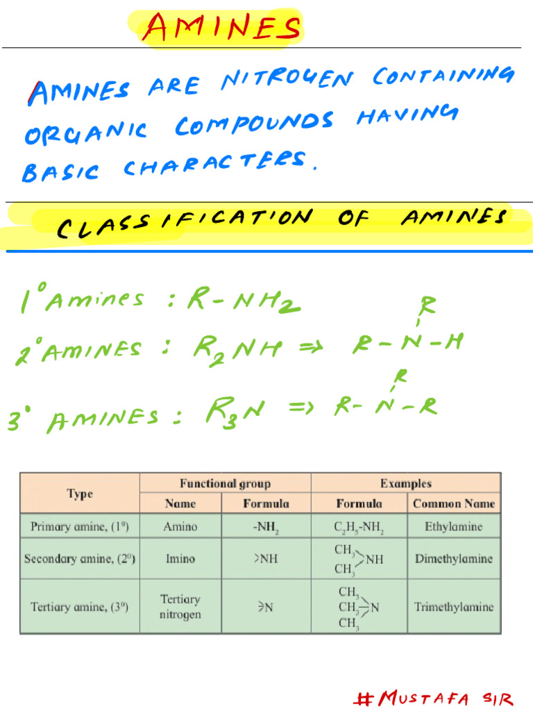 Amines Notes Chemistry Class 12 | PDF | Amine | Pyridine