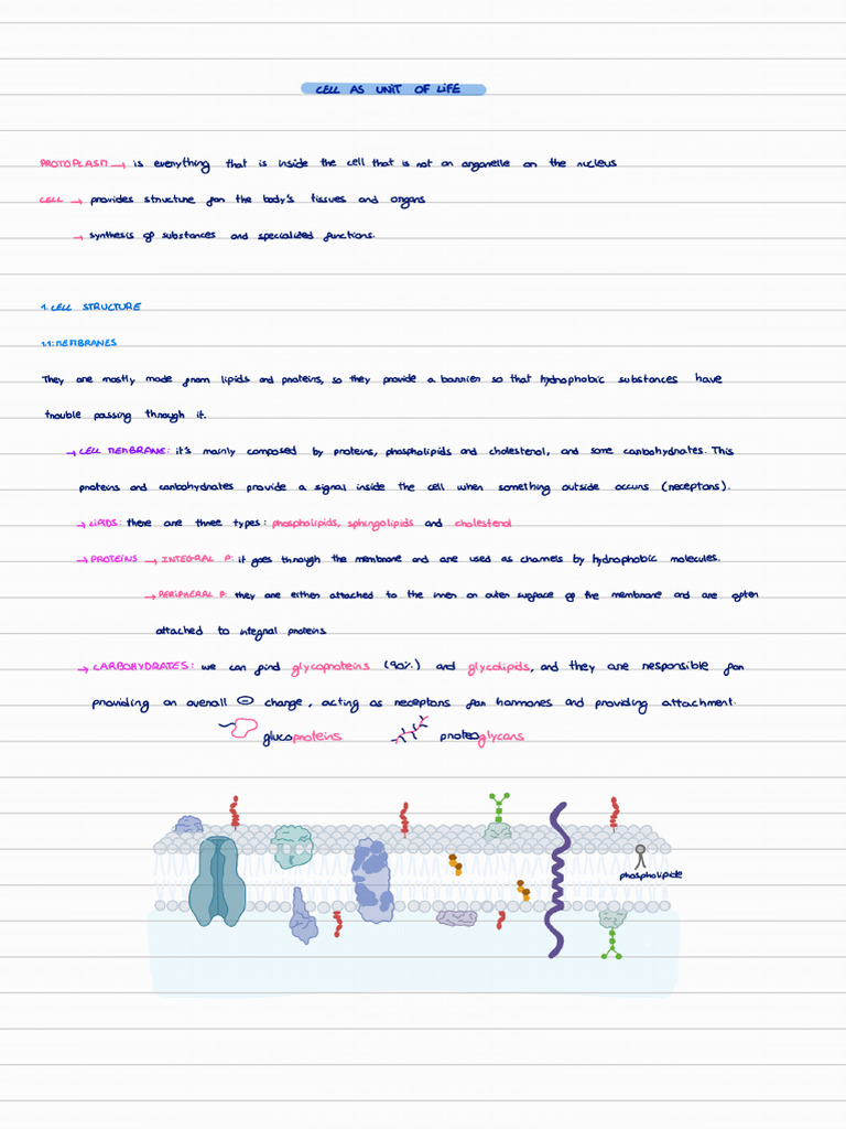 T1 Cell as Unit of Life_230922_125538 | PDF