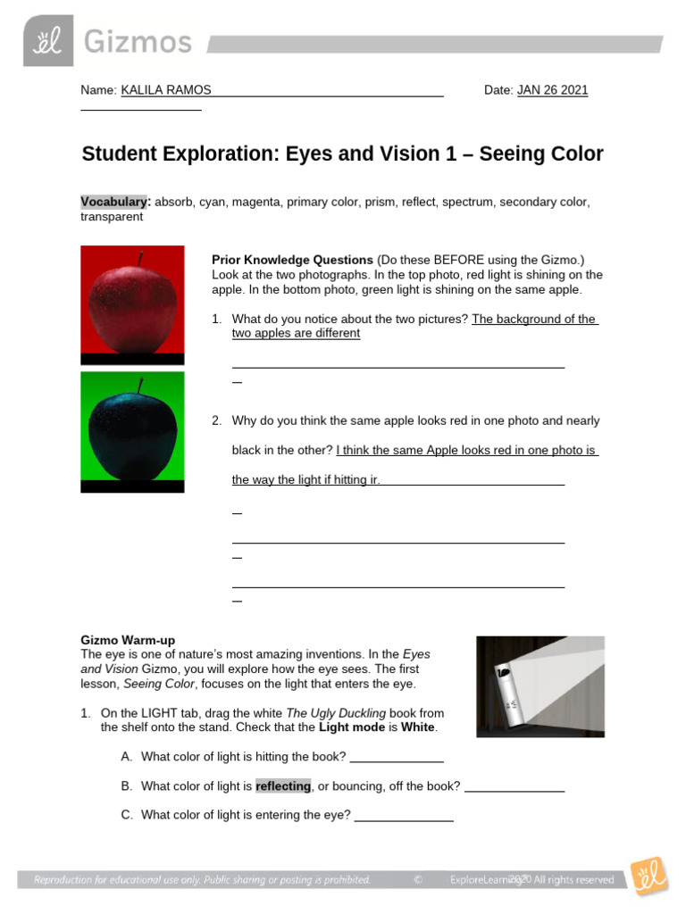 SeeingColorSE (1) Copy | PDF | Color | Rgb Color Model