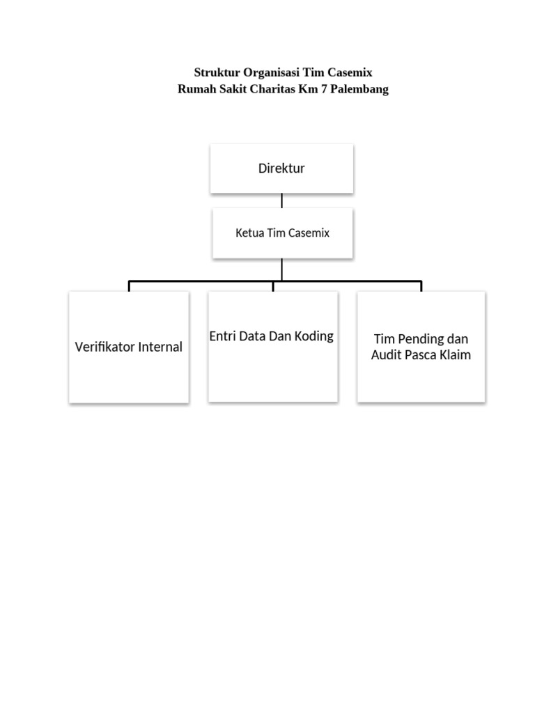 Struktur Organisasi Tim Casemix | PDF