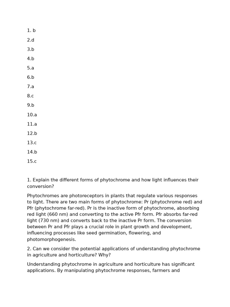 Sir Omar Assessment | PDF