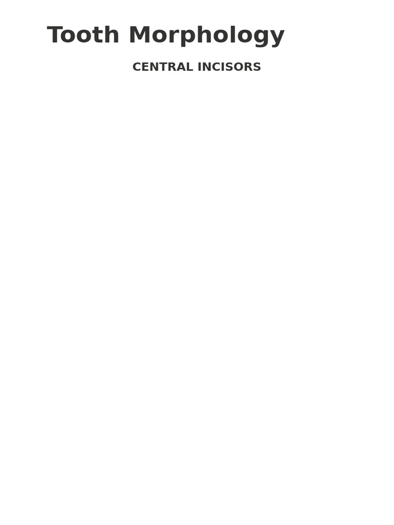 Tooth Morphology | PDF