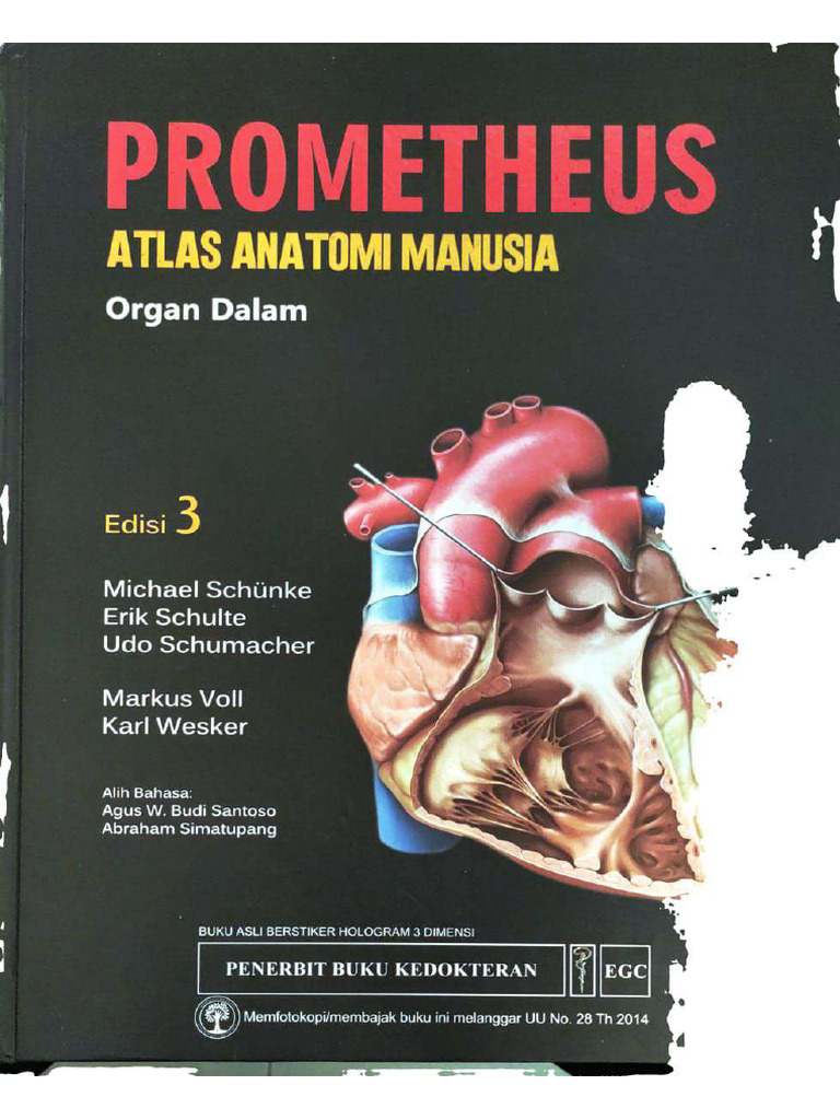 Prometheus Atlas Anatomi Manusia | PDF