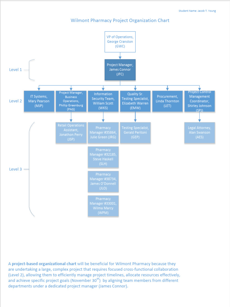 Wilmont Pharmacy Project Organization Chart | PDF