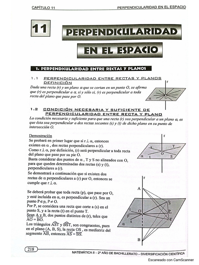 Capítulo 11 WFV - Perpendicularidad en E | PDF