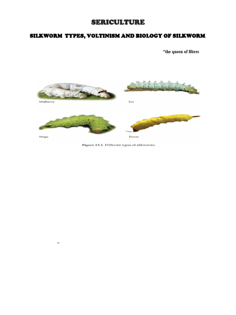 Silkworm Types Voltinism and Biology | PDF | Silk | Pupa
