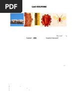 Life Cycle of Lac Insect | PDF | Insects | Anatomical Terms Of Location