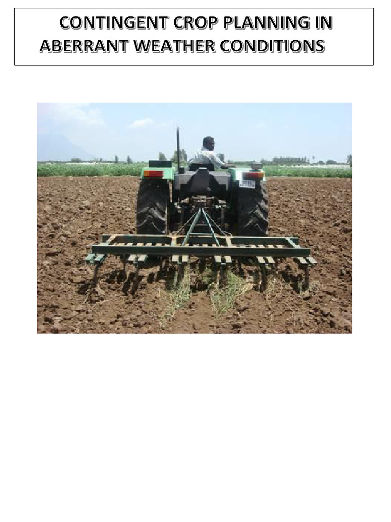 Contingent Crop Planning | PDF | Rain | Mulch