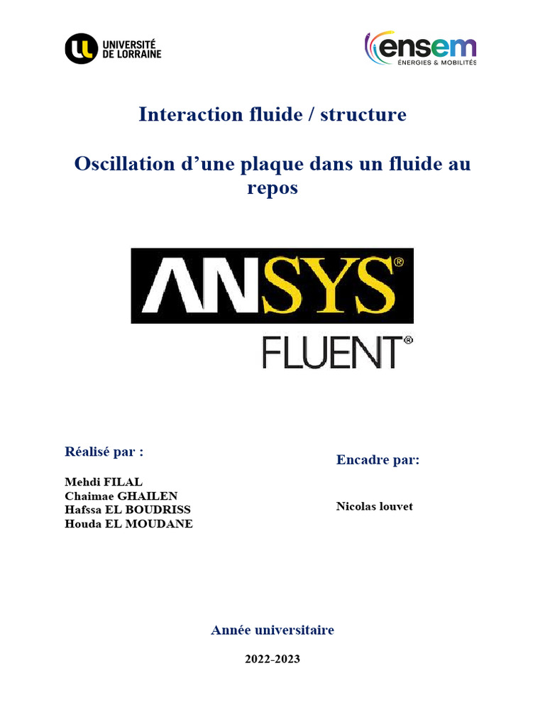 Rapport de TP Fluent | PDF | Pression | Fluide