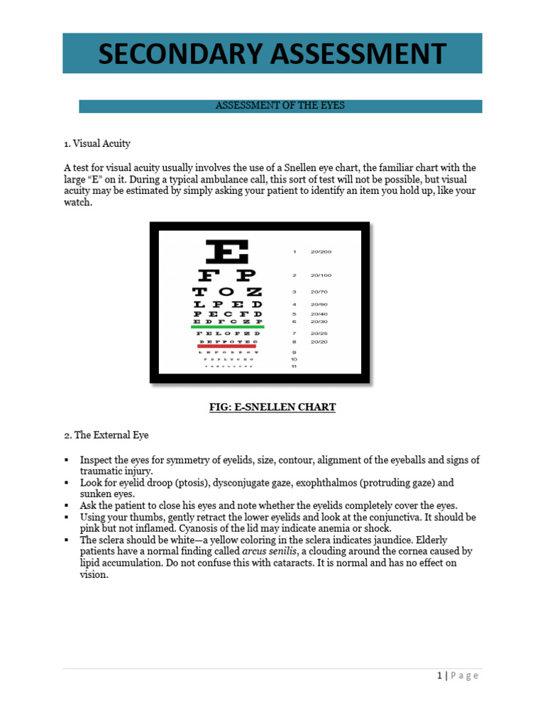 Assesment Of Eye Pdf Human Eye Eye