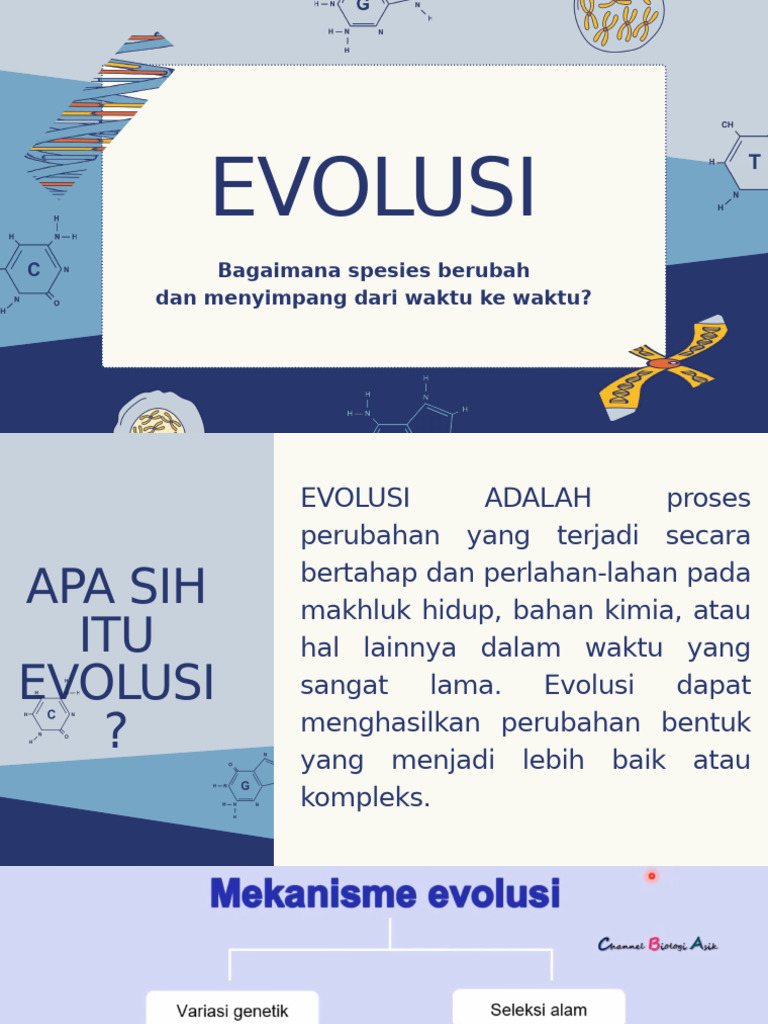 Presentasi Pendidikan Evolusi Dan Seleksi Alam Digambar Tangan ...