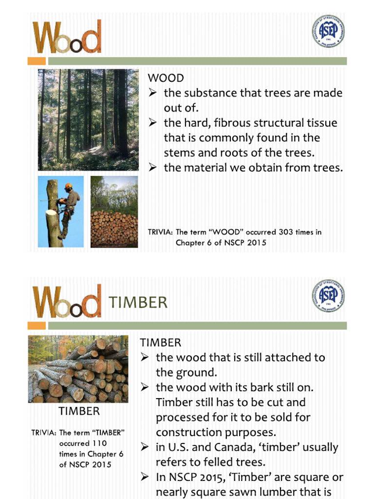 NSCP Chapter 6 Wood | PDF