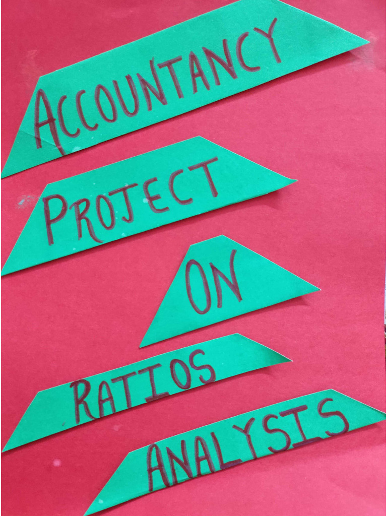 Accounts Project | PDF