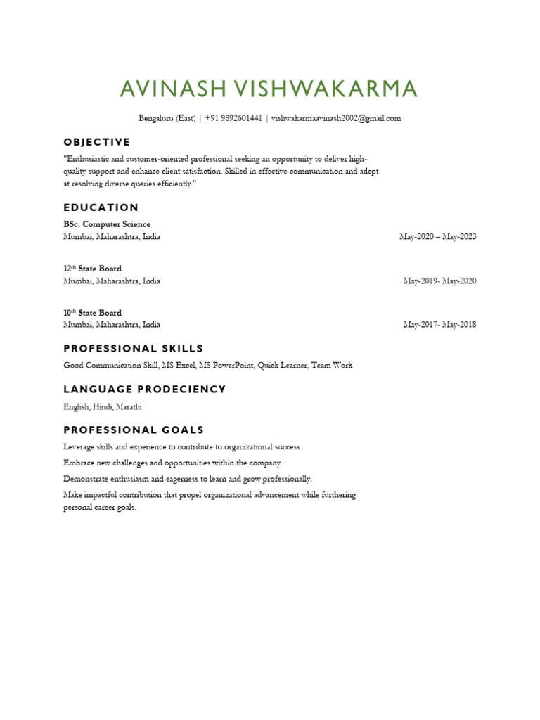 Avinash Resume New | PDF