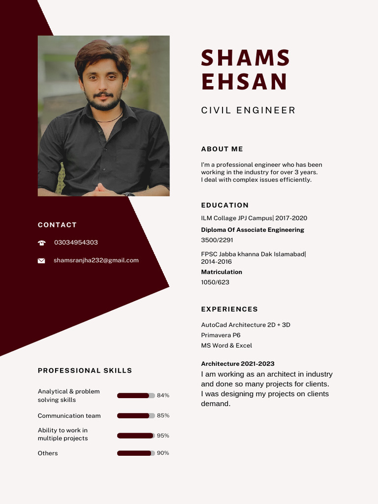 Shams Ehsan CV | PDF