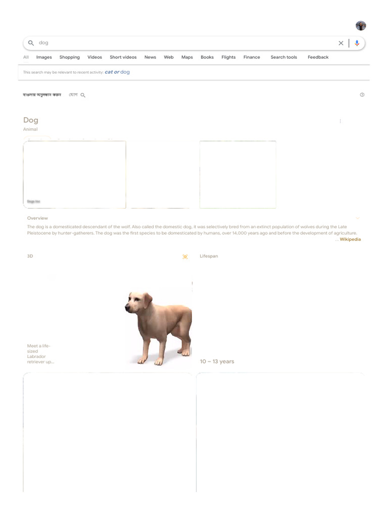 dog - Google Search | PDF | Dogs | Dog Breeds