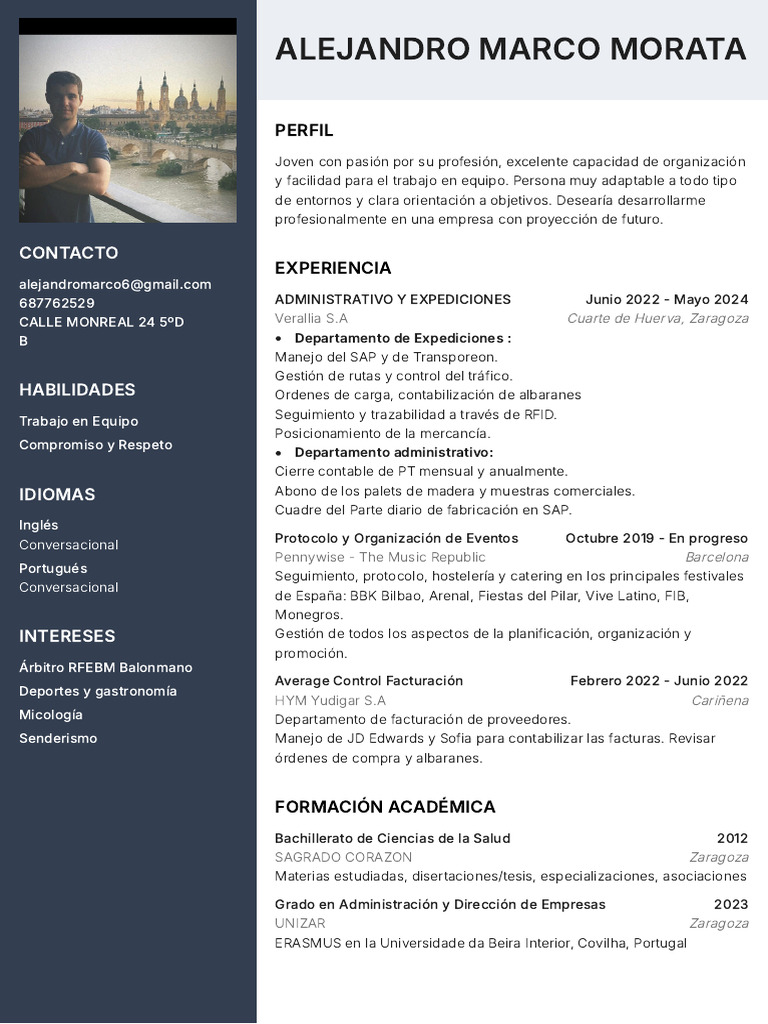 Perfil Profesional de Alejandro Marco | PDF