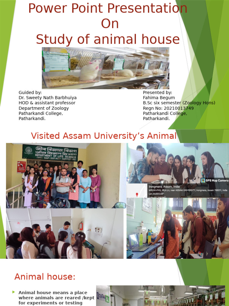 Presentation | PDF | Organisms