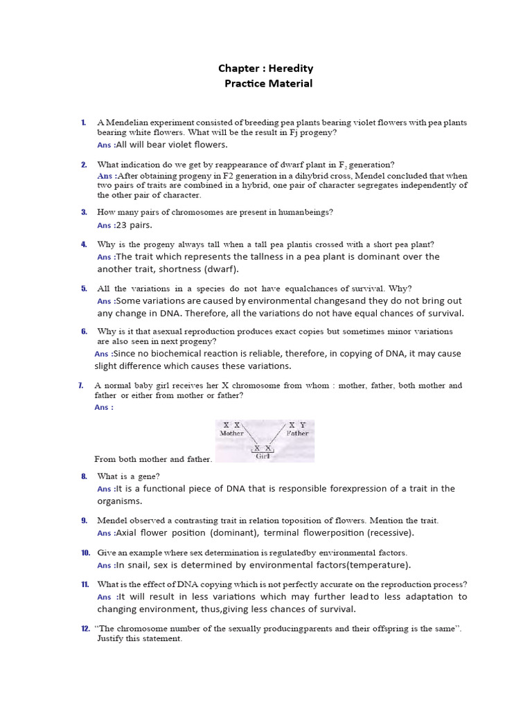 Chapter Heredity Practice Assignment With Solution | PDF | Dominance ...
