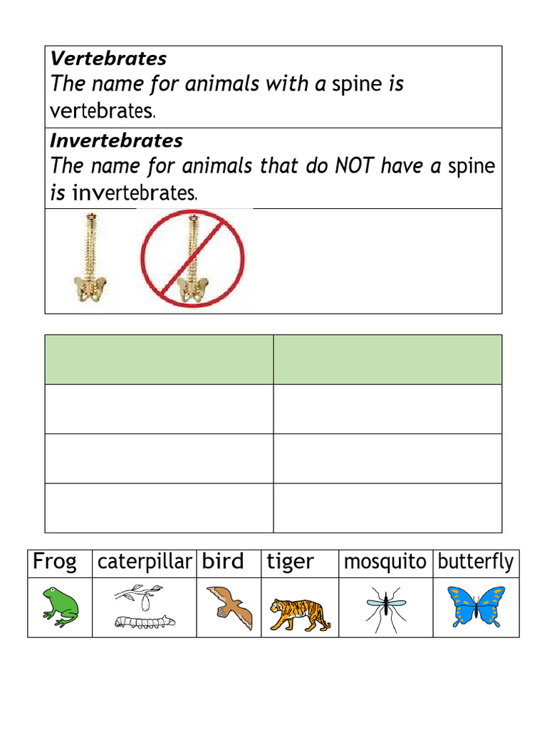 Vertebrates vs Invertebrates Guide | PDF