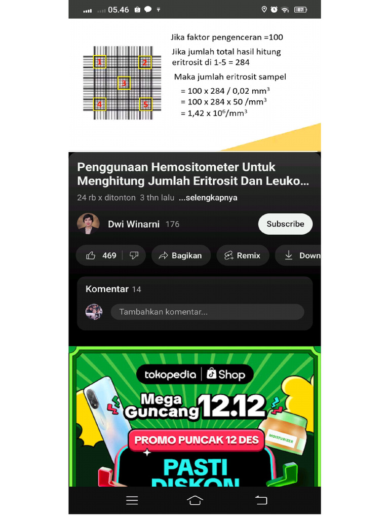 PDF Gallery - 20241218 - 200029 | PDF