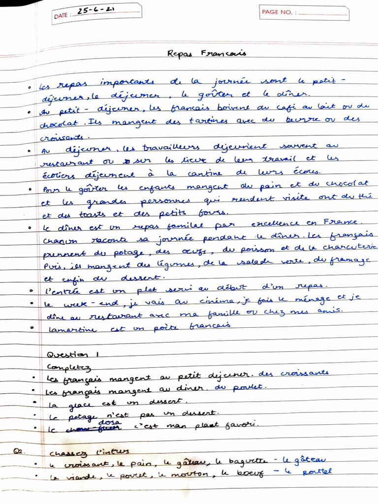 French Class 9 Lesson 3 Notes | PDF