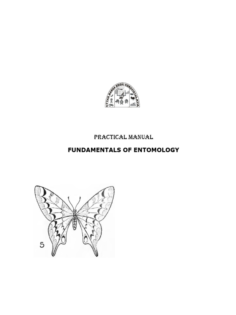 Practical Manual for Entomology Studies | PDF | Hexapoda | Arthropods
