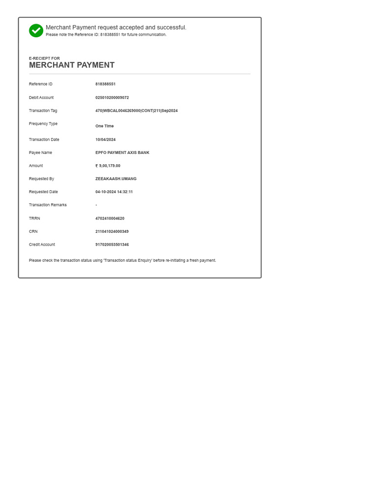 Merchant Payment Request Accepted and Successful | PDF