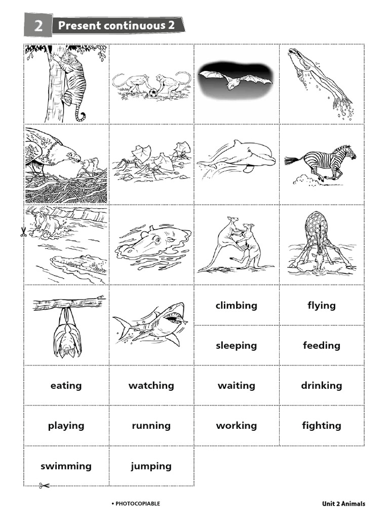 Present Continuous Animals | PDF