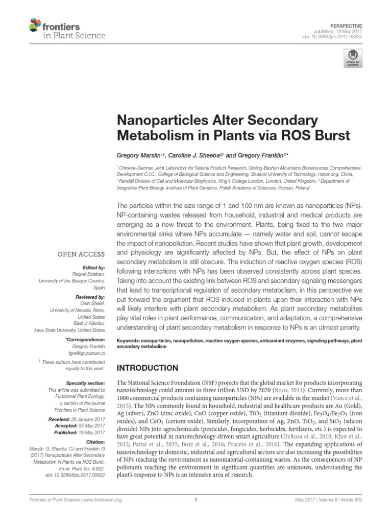 Nanoparticles | PDF | Reactive Oxygen Species | Calcium In Biology