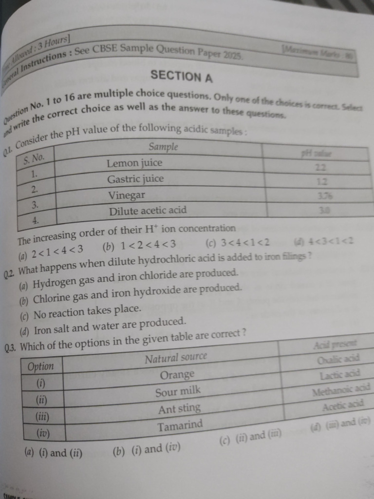 X - Practice Test Paper 1 | PDF
