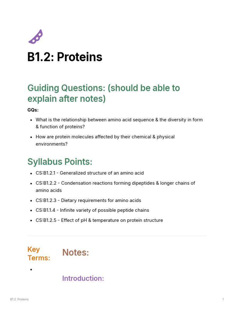 B1.2 Proteins | PDF | Amino Acid | Proteins