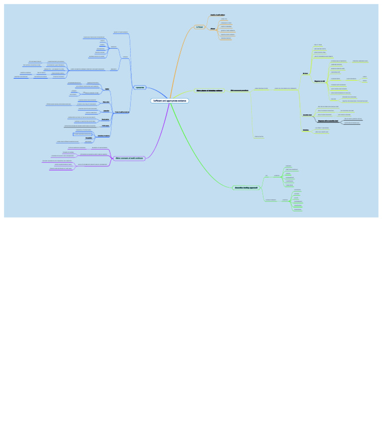 Sufficient and Appropriate Evidence | PDF | Audit | Internal Control