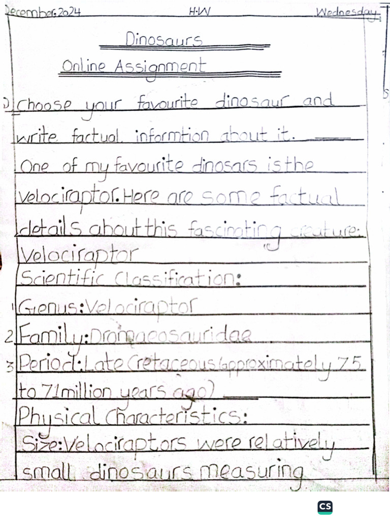 Hashir Assignment English | PDF