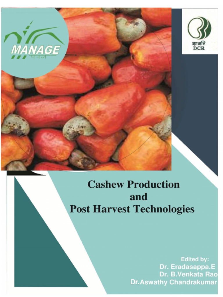 Cashew Production | PDF | Plants